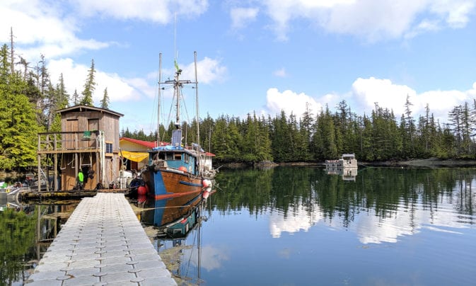 Restoring Harmony in Haida Gwaii - Yes! Magazine