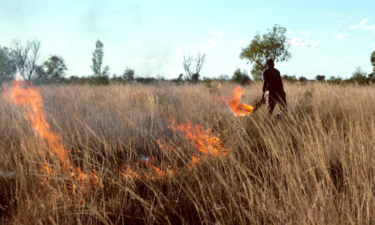 To Help Australia, Look to Aboriginal Fire Management - Yes! Magazine