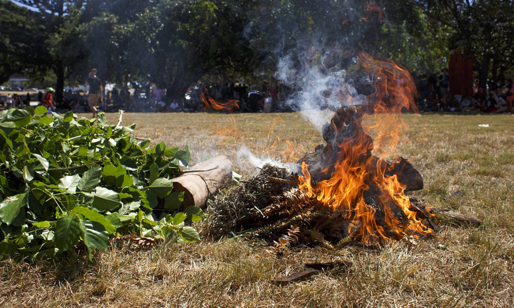 Strength From Grief: How Aboriginal People Experience the Bushfire ...