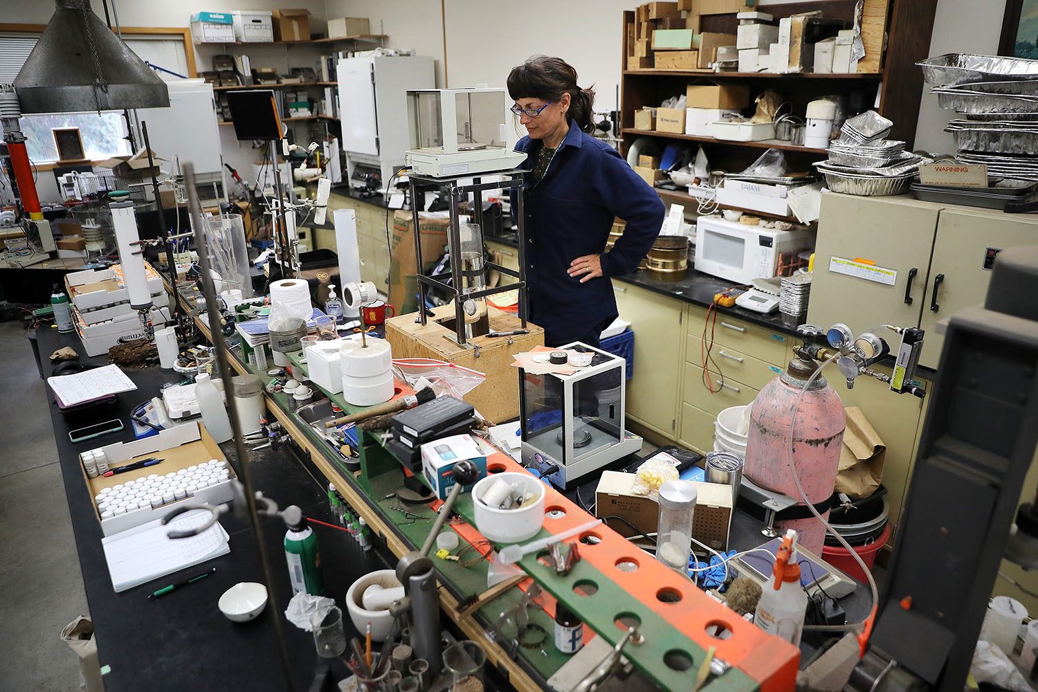 Do Mountain Forests Hold the Answers for Climate Science? - Yes! Magazine