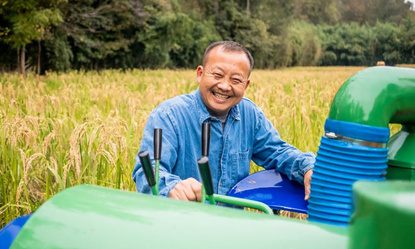 Yes, You Can Grow Rice in Appalachia - YES! Magazine Solutions Journalism