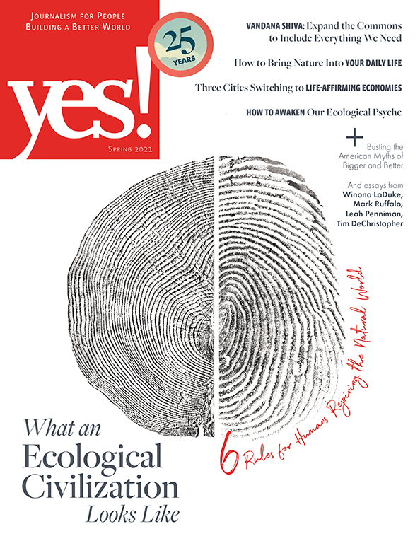 What an Ecological Civilization Looks Like - YES! Magazine Solutions ...