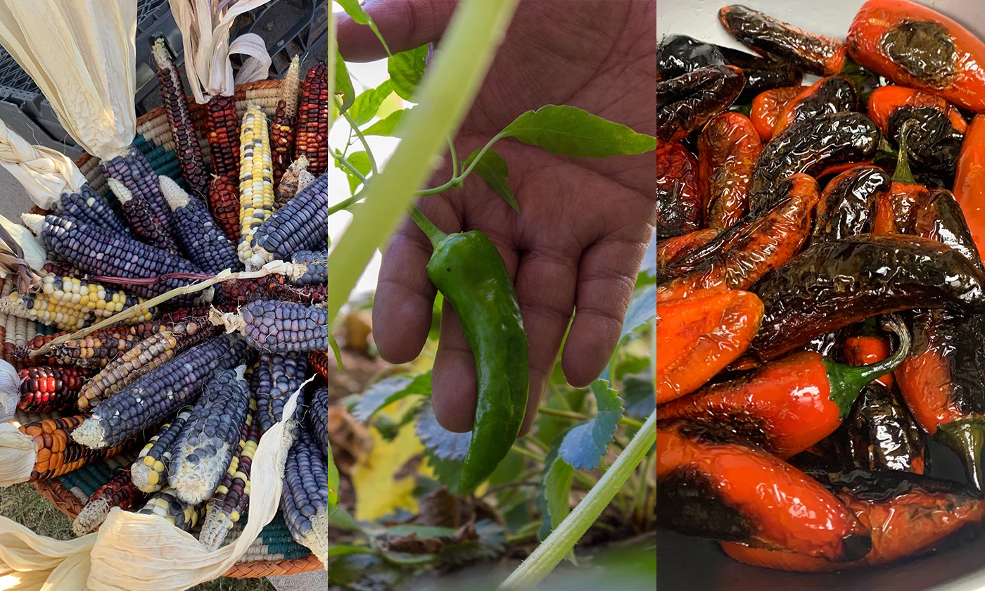 The Indigenous Winter Pantry: Recipes for Today’s Kitchen - YES ...