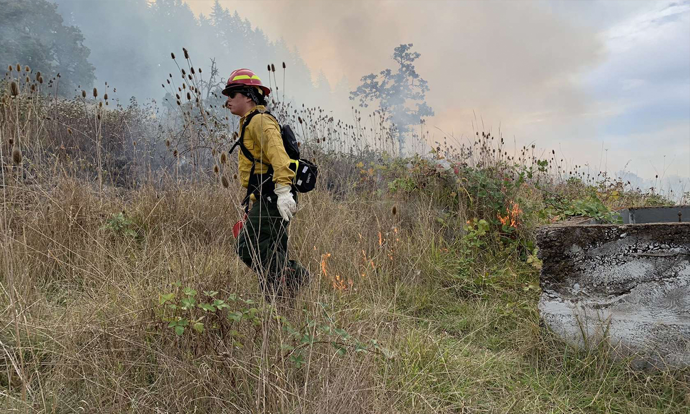 Young People Are Reshaping Wildfire Policy