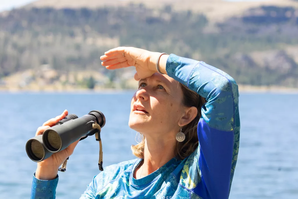 Welcoming Relatives Home: Bringing Back the Bighorn - resilience