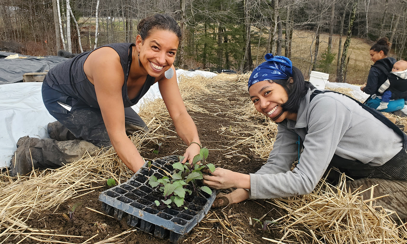 Soil Builds Prosperity From the Ground Up - YES! Magazine Solutions ...