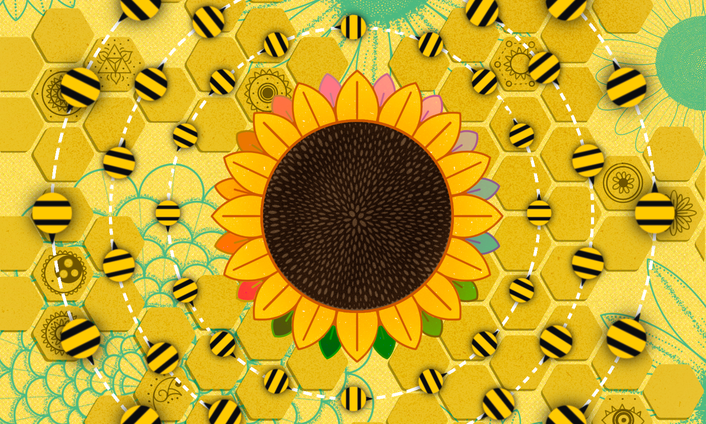 Murmurations: Wisdom From Women Changemakers - YES! Magazine Solutions ...