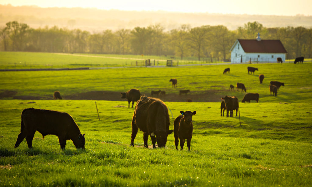 When It’s Time to Hand the Farm to the Next Generation, the Simple Life ...