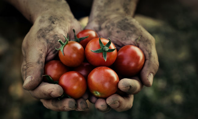 Nutraloaf Prison Food