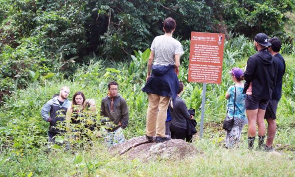 Meet the Farmers Reclaiming Puerto Rico’s Agricultural History - Yes ...