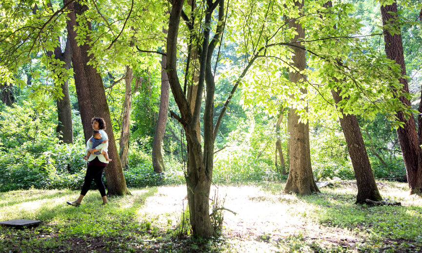 Return to Nature - Yes! Magazine